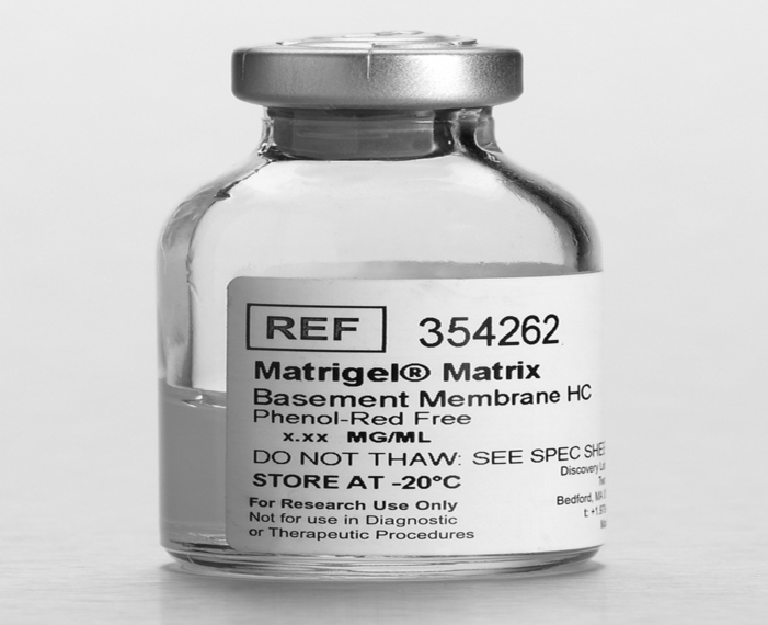 Matrigel Matrix for Organoid Culture, Phenol Red-free, LDEV-free, 10 mL ...