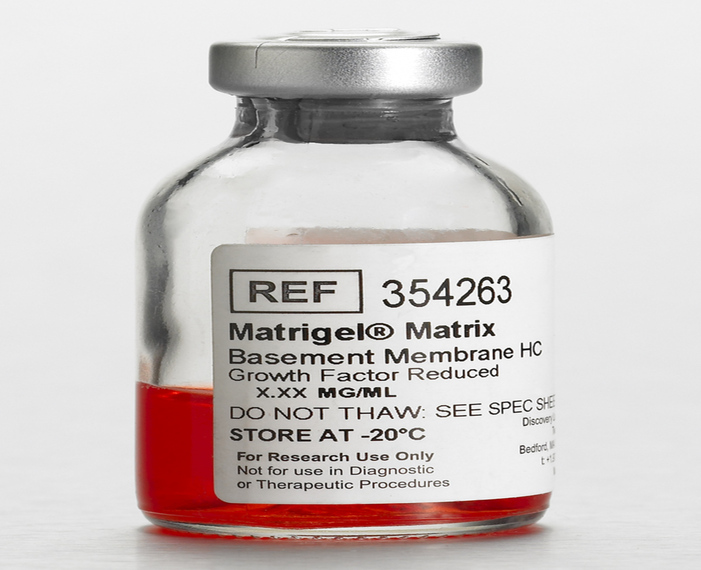 Matrigel Matrix for Organoid Culture, Phenol Red-free, LDEV-free, 10 mL ...