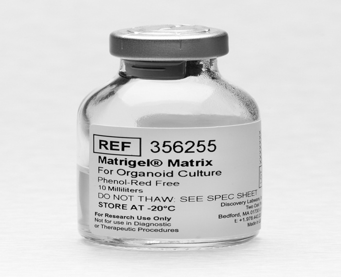 Matrigel Matrix for Organoid Culture, Phenol Red-free, LDEV-free, 10 mL ...
